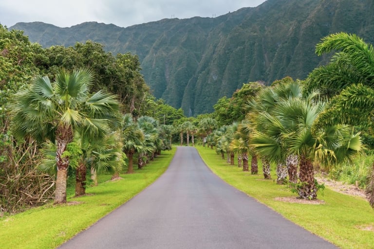Scenic Drive Around Oʻahu: 20 Spots to Stop | Prince Waikiki