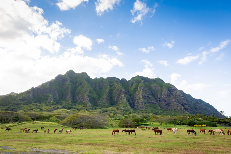 Scenic Drive Around Oʻahu: 20 Spots to Stop | Prince Waikiki