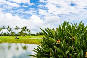 Scenic Drive Around Oʻahu: 20 Spots to Stop - Prince Waikiki
