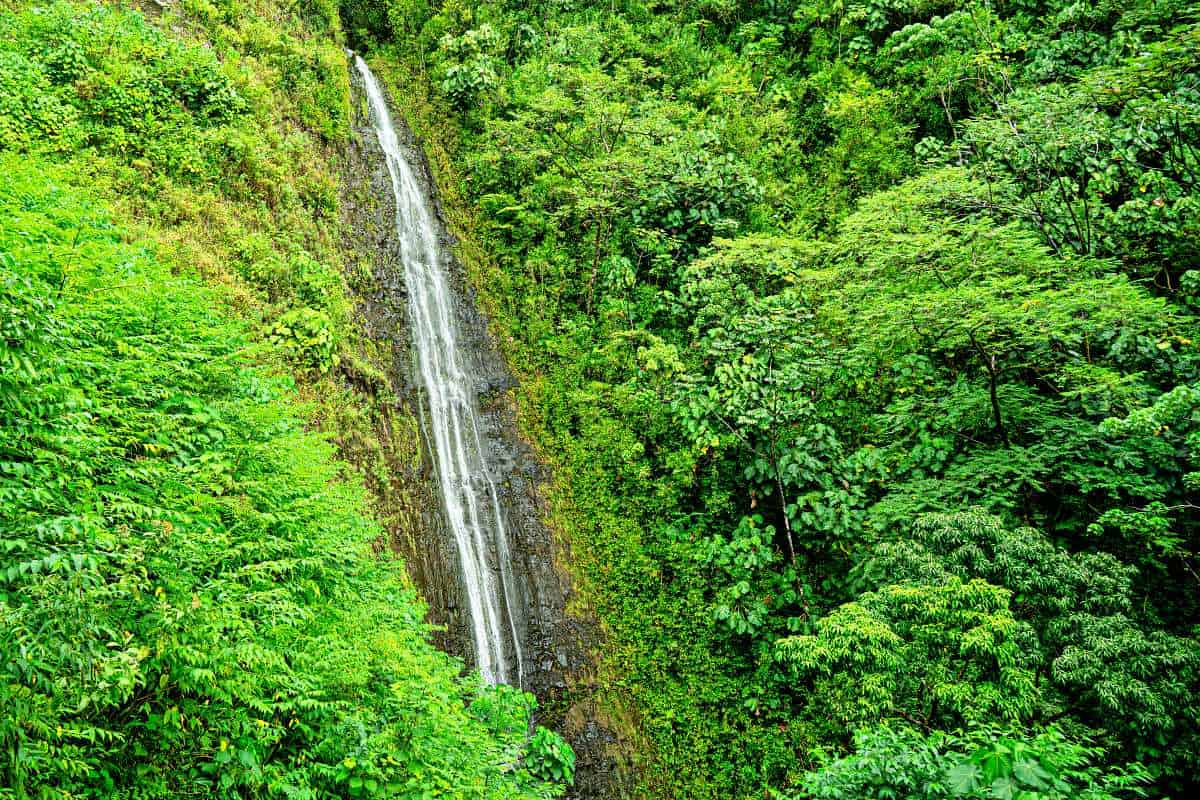 Honolulu Hidden Gems | Prince Waikiki